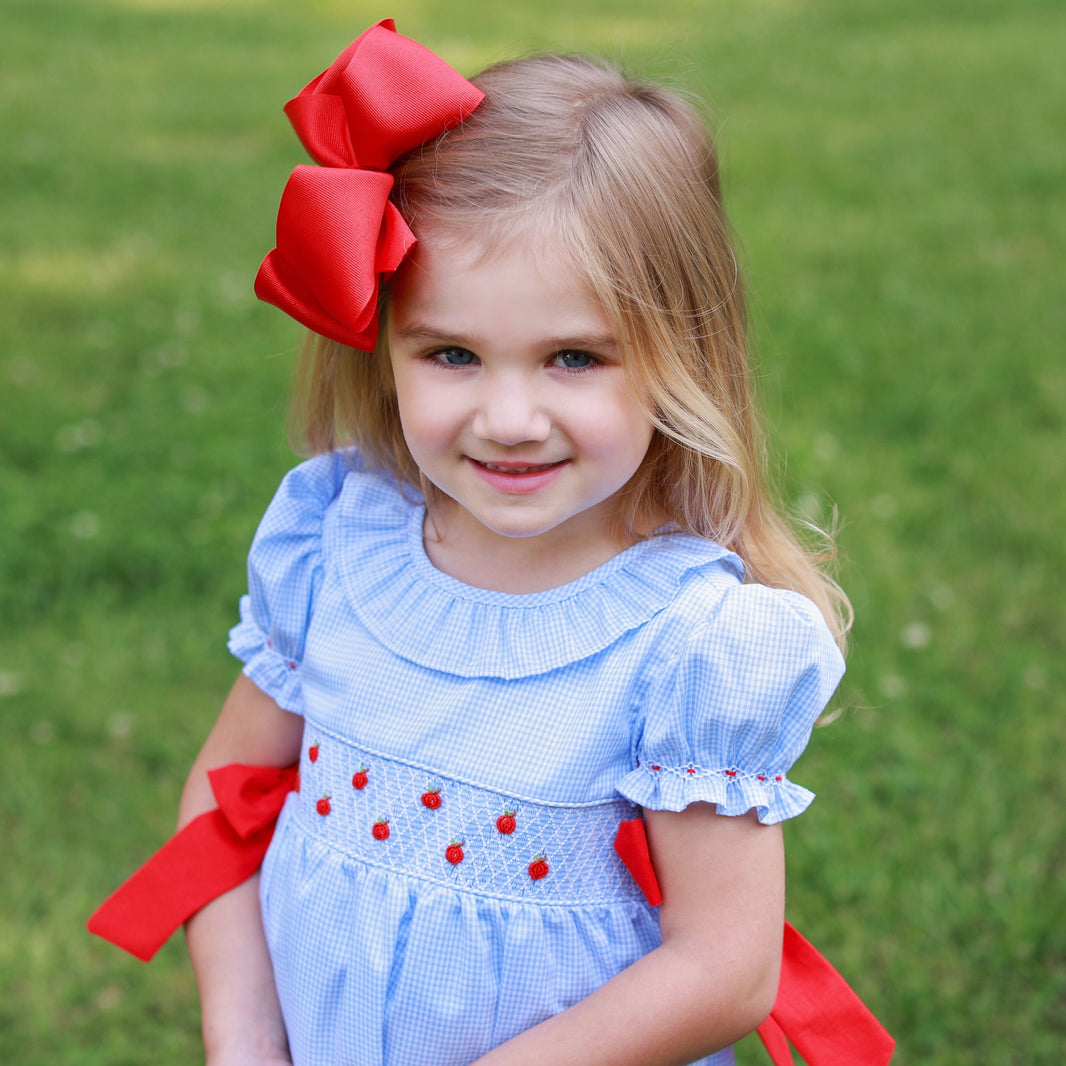 Smocked Clothing for Girls – Page 7 – Dressie Jessie Smocking